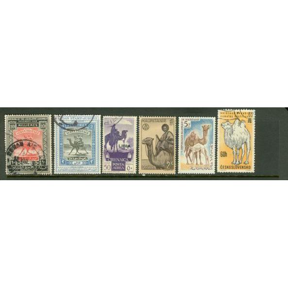 All Different Camels , 6 stamps – StampPhenom