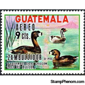 Guatemala 1970 Atitlan Grebe (Podilymbus gigas) – StampPhenom